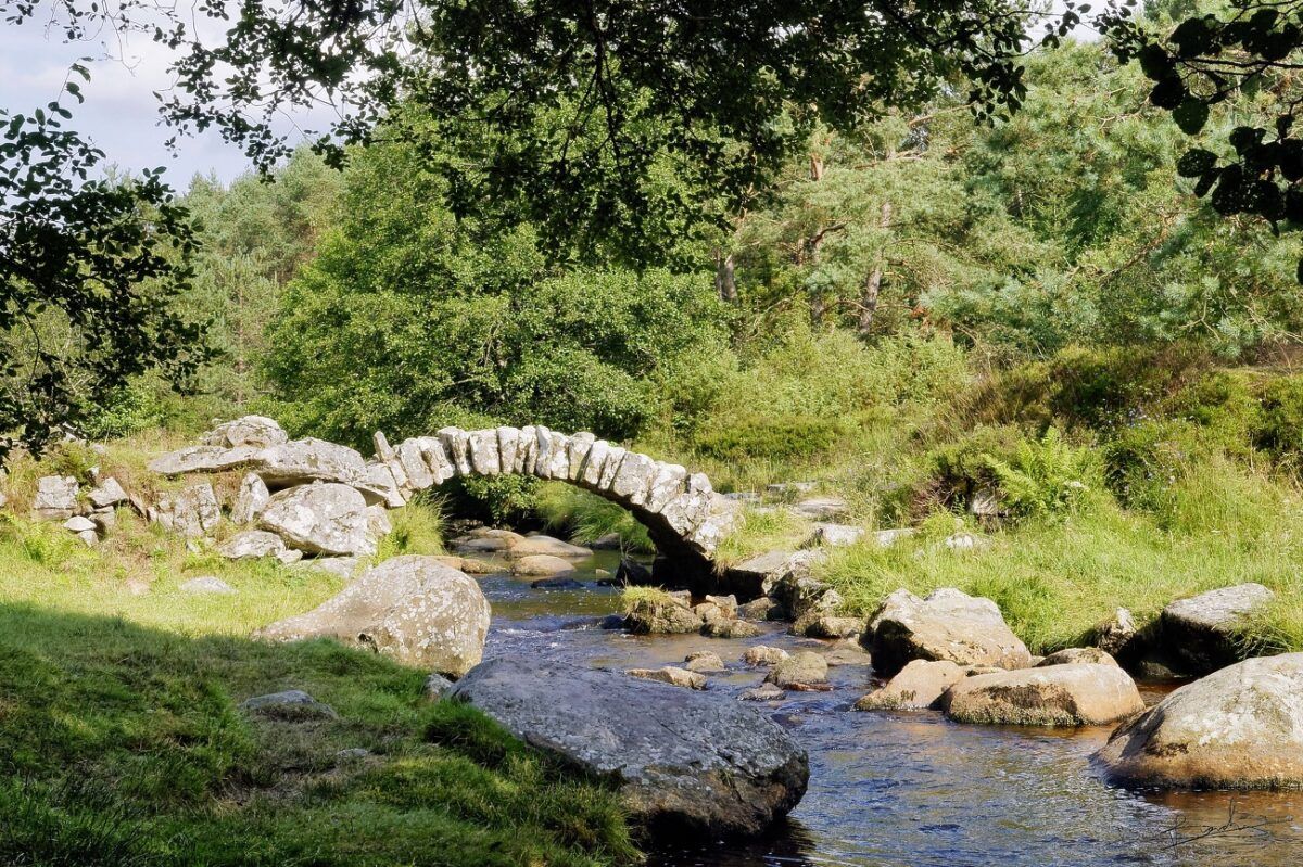 Excursion pour les 5-10 ans - Faux-la-Montagne
